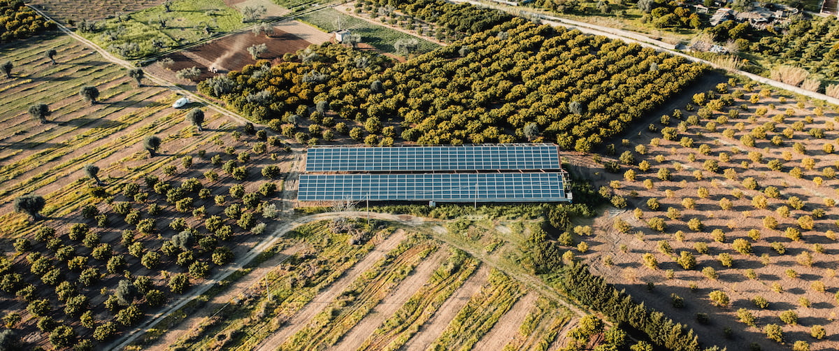 How Solar Energy is Revolutionizing Agriculture